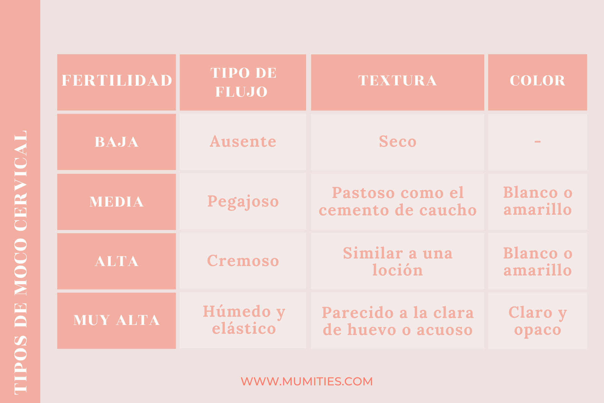 ¿Buscas un embarazo? Descubre 5 métodos para saber si estás ovulando